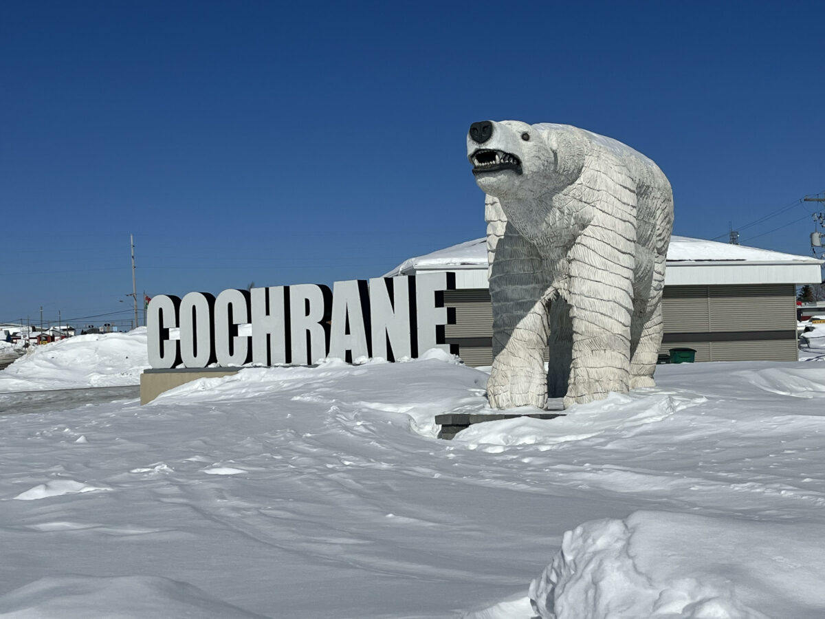 Sheridan students meet a Sheridan hero: Domee Shi inspires the next ...